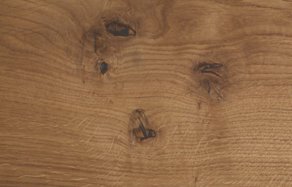 Die Eiche – alles Wissenswerte vom Baum bis zum Holz