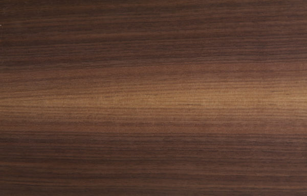 Der Nussbaum – alles Wissenswerte vom Baum bis zum Holz