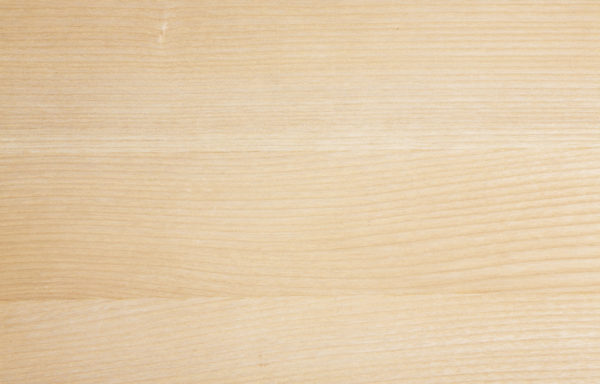 Die Esche – alles Wissenswerte vom Baum bis zum Holz