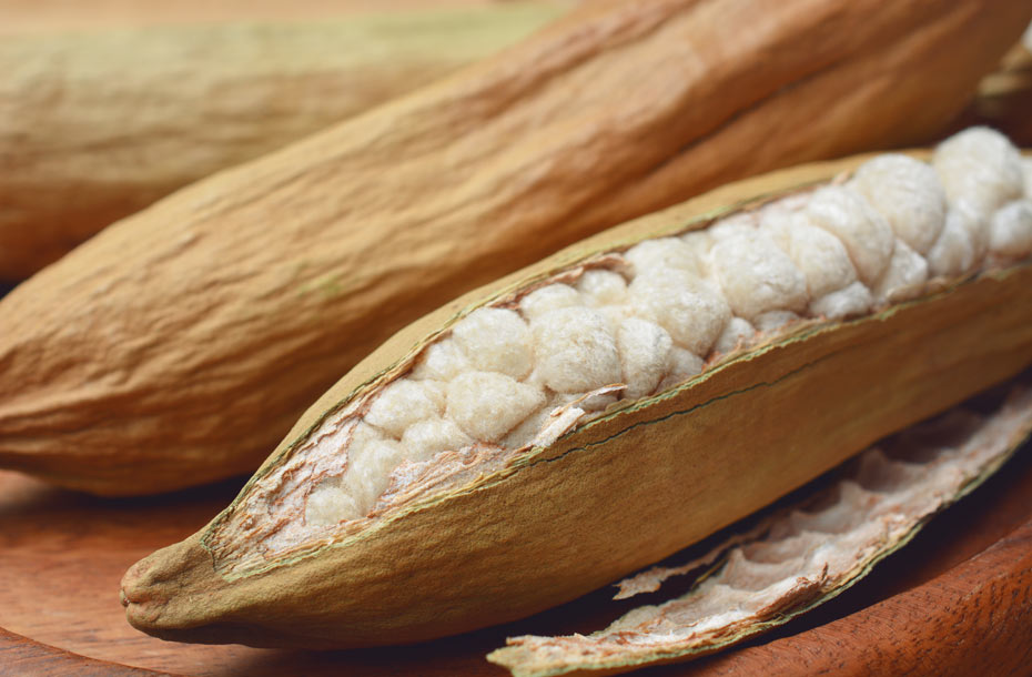 Kapokfaser – bei Veganer und Allergiker besonders beliebt