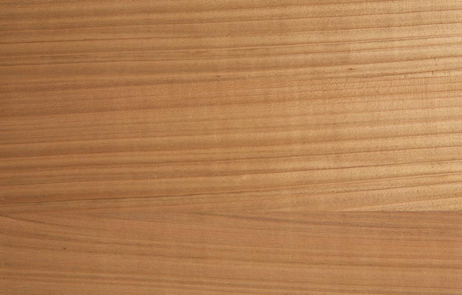 Der Kirschbaum – alles Wissenswerte vom Baum bis zum Holz