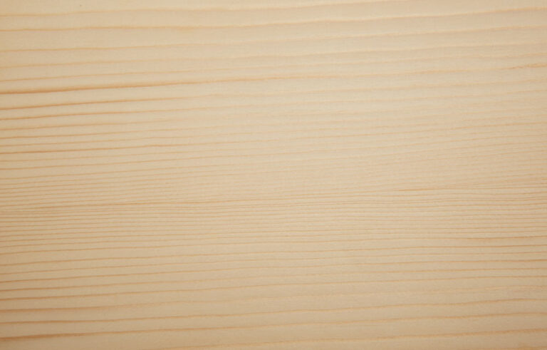 Die Fichte – alles Wissenswerte vom Baum bis zum Holz